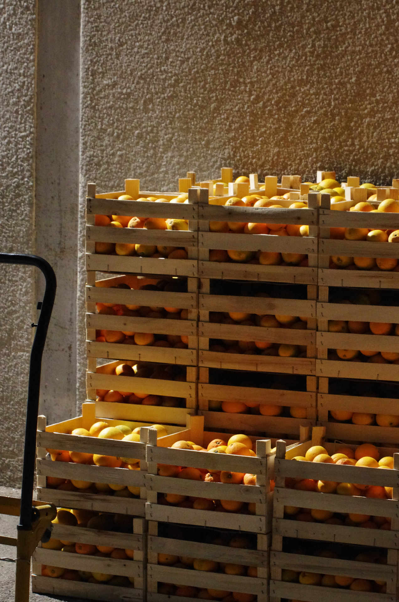 le CABAS du 21 novembre - Le CABAS, groupement d'achat d'Alès