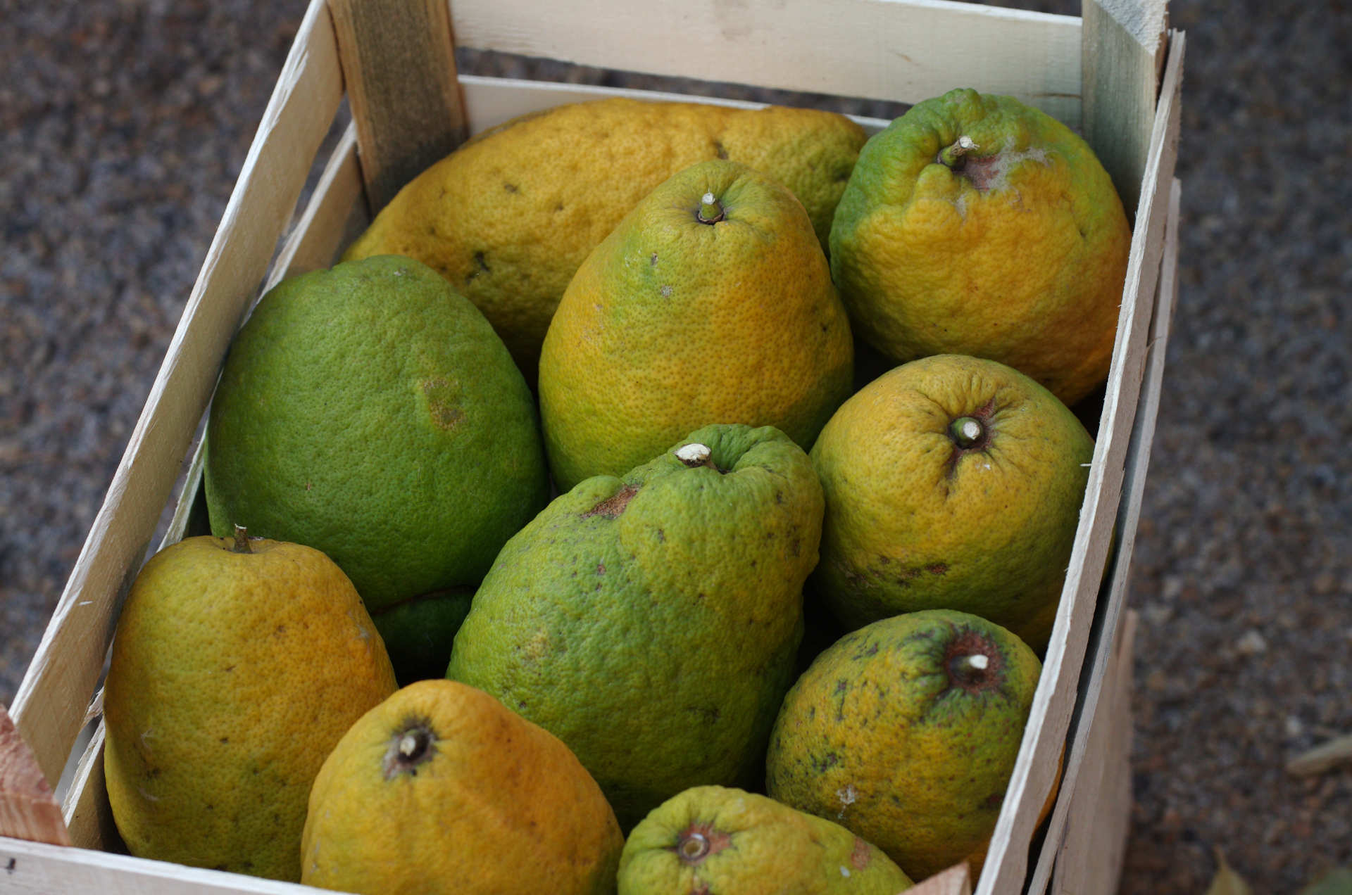 le CABAS du 21 novembre - Le CABAS, groupement d'achat d'Alès