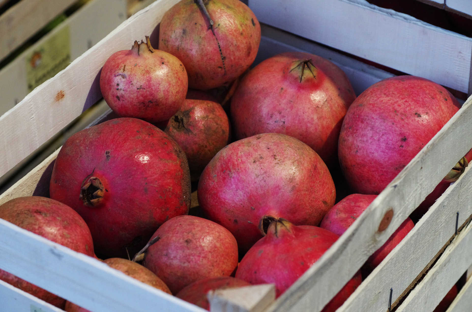 le CABAS du 21 novembre - Le CABAS, groupement d'achat d'Alès