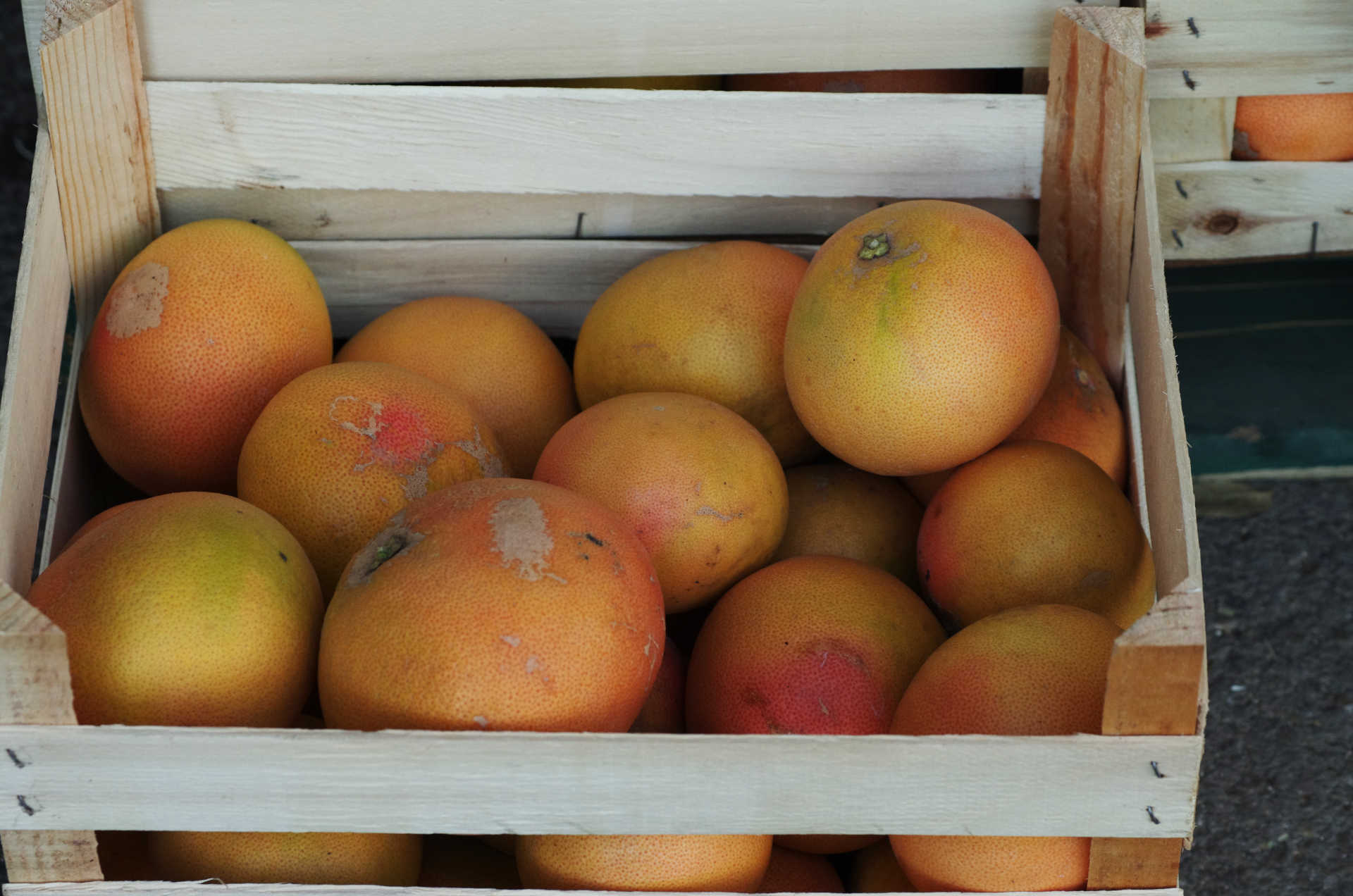 le CABAS du 21 novembre - Le CABAS, groupement d'achat d'Alès